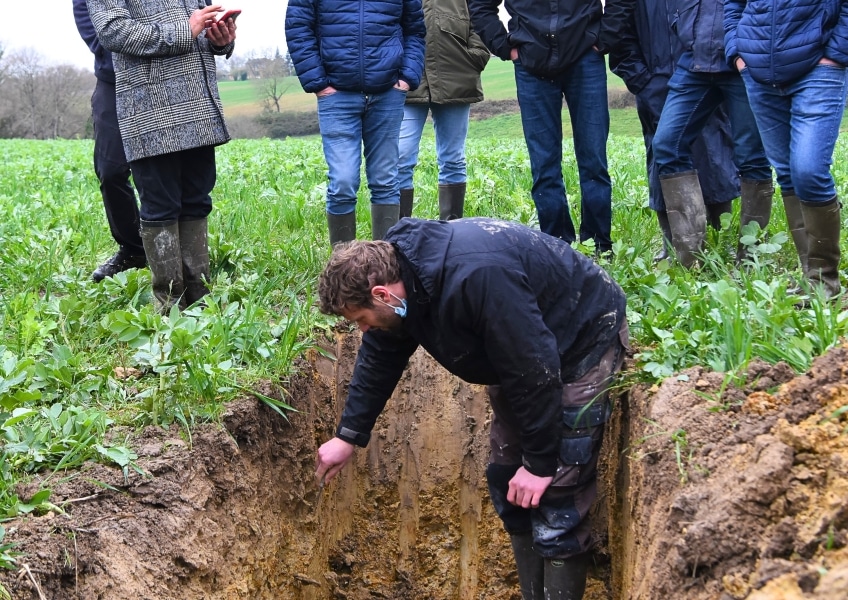 Seed Production - MAS Seeds Africa